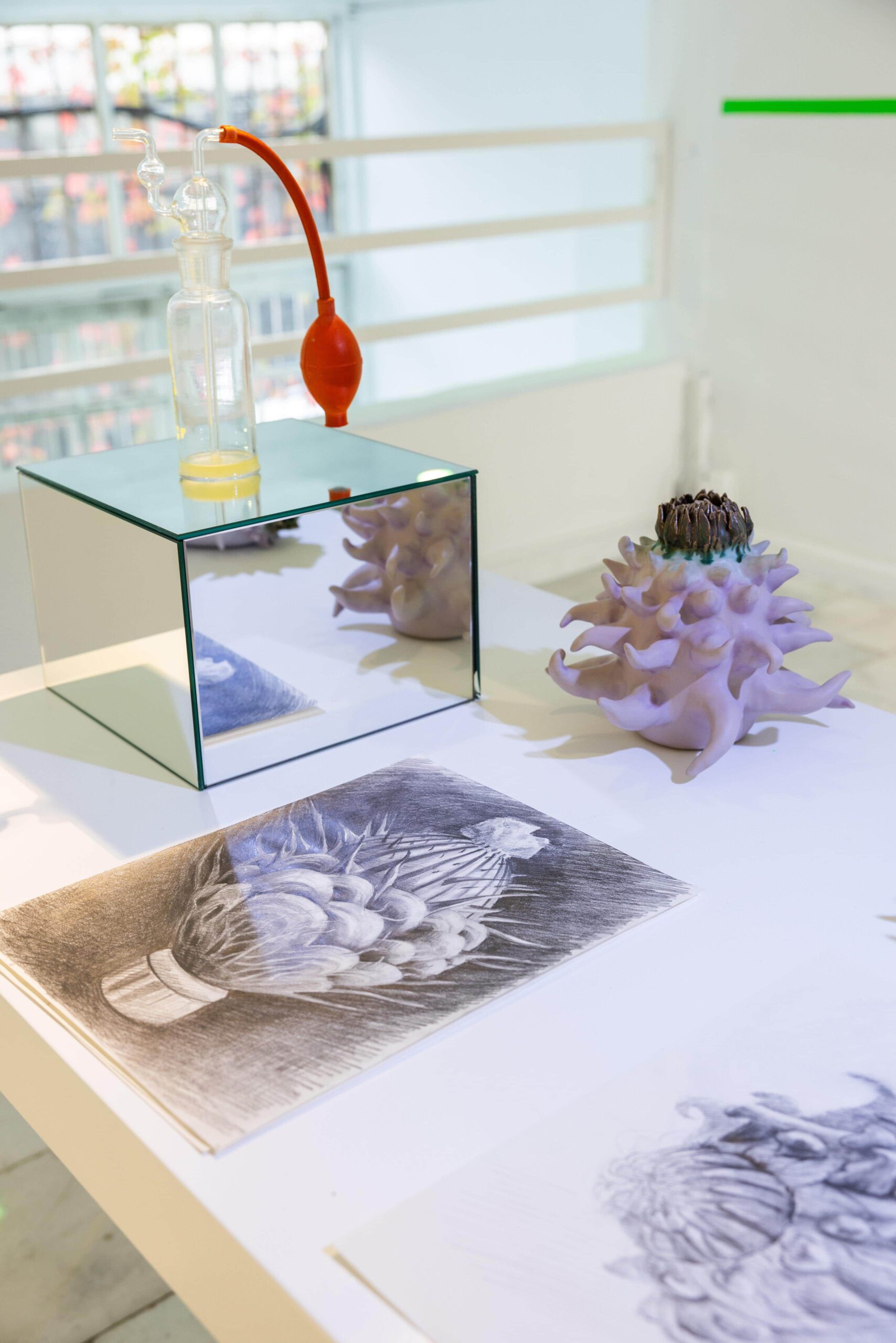 Performatif bir araştırma: Cynara - ArtDog Istanbul