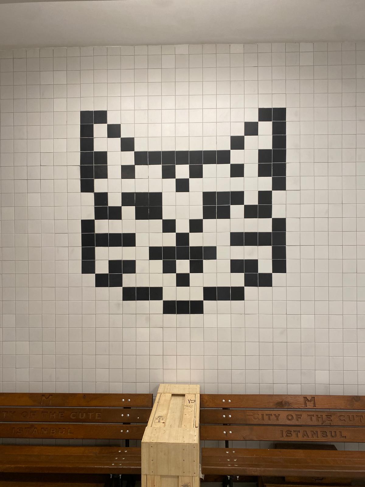 Istanbul's Cat Museum