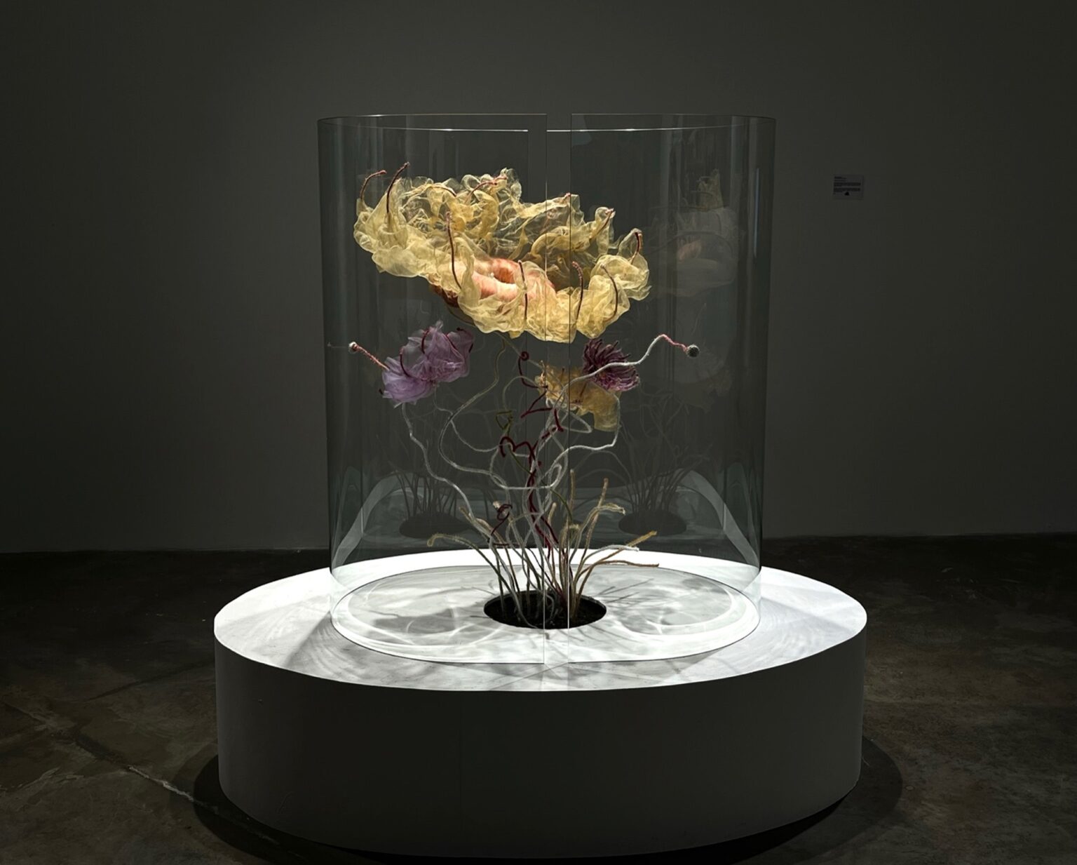 EArt Galeri’de “İstisnaların İhtimali”